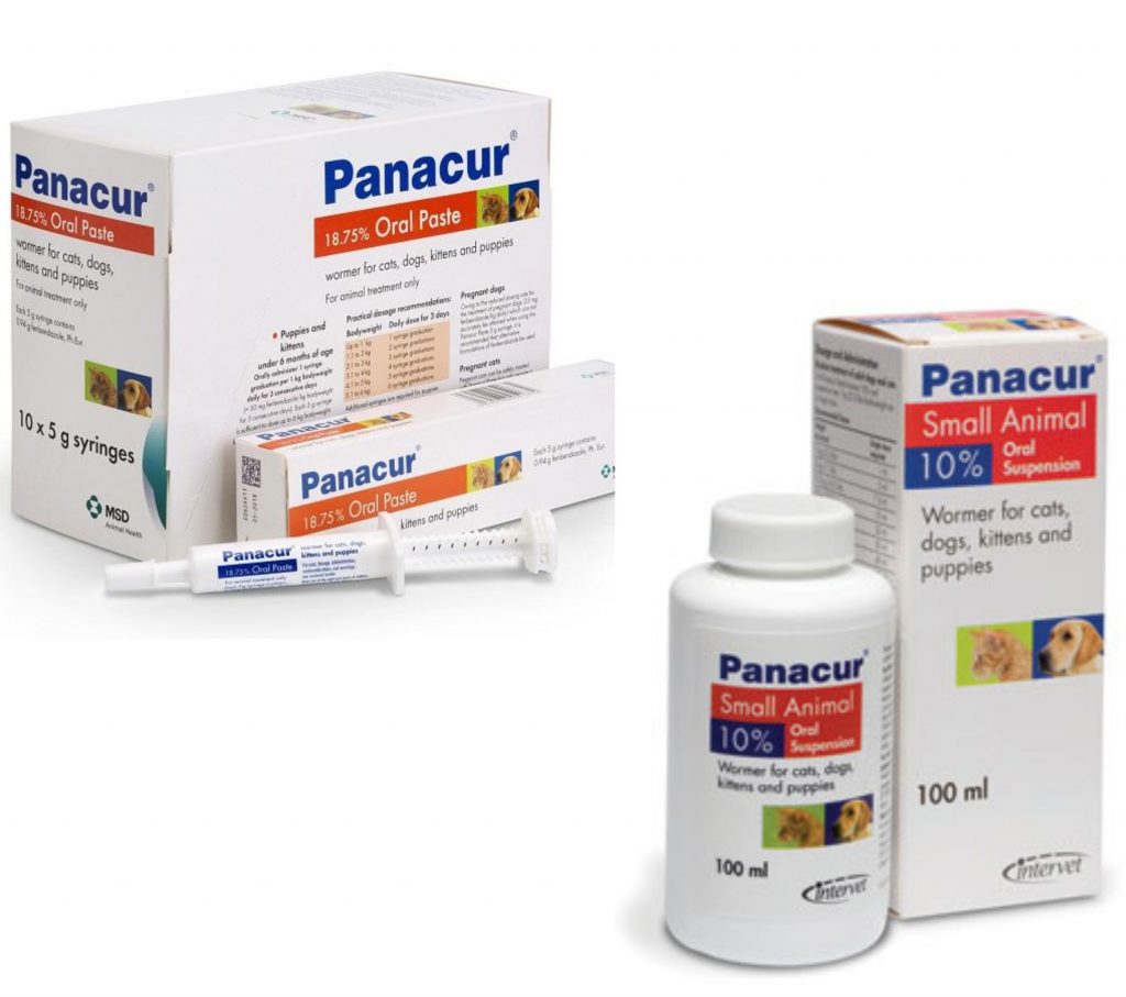Panacur Suspension For Puppies